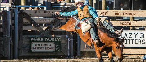 Rodeos in Montana | Destination Montana