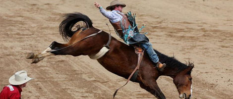 rodeo-livingston-montana | Destination Montana