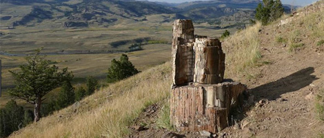 specimen-ridge-ynp-470 | Destination Montana