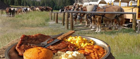 western-cookout-yellowstone-park | Destination Montana