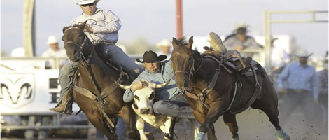 Rodeos in Montana | Destination Montana