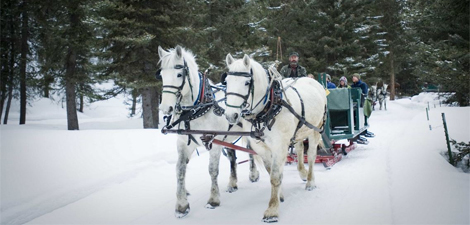 Sleigh Rides in Big Sky | Destination Montana