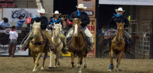 Rodeos in Montana | Destination Montana