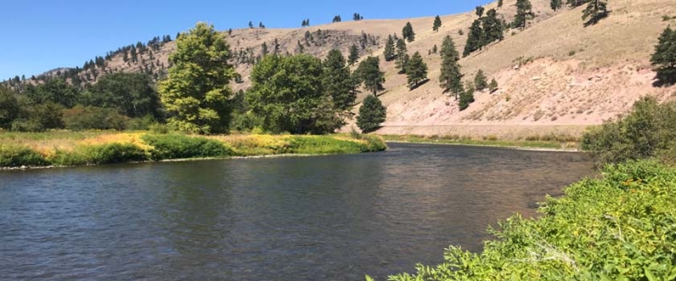 Bearmouth Chalet & RV Park | Destination Montana