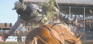 Rodeos in Montana | Destination Montana