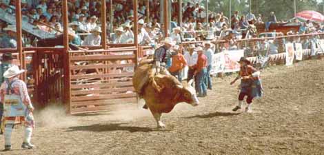 Rodeos in Montana | Destination Montana