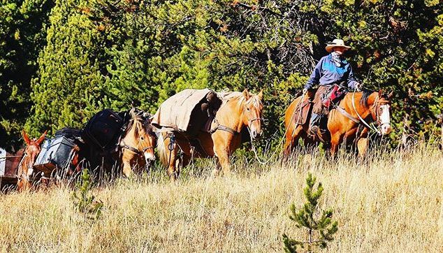 Wilderness Pack Trips Yellowstone Park | Destination Montana