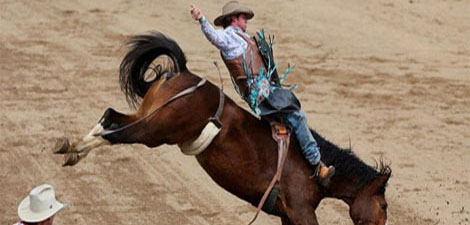 Rodeos in Montana | Destination Montana
