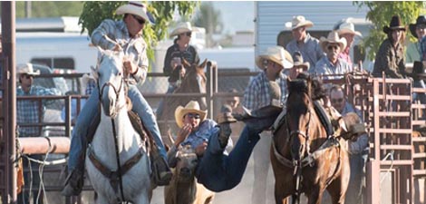 Rodeos in Montana | Destination Montana