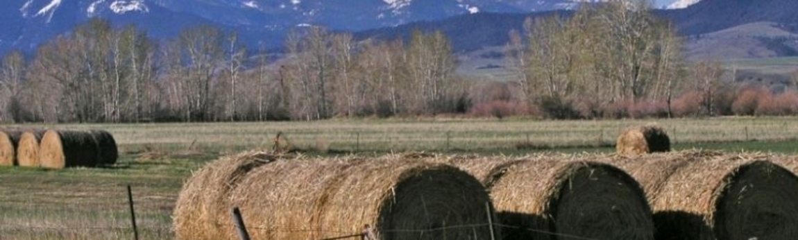 Gallatin Gateway, MT | Destination Montana