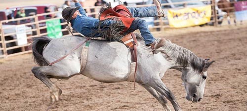 Rodeos in Montana | Destination Montana