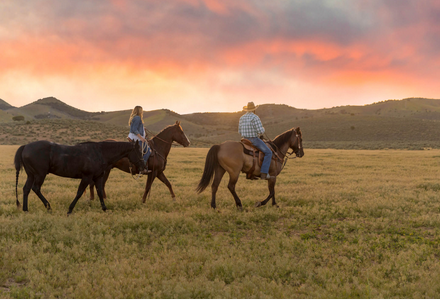 image | Destination Montana