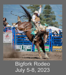 Bigfork Rodeo SB | Destination Montana
