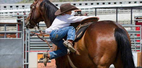 Rodeos in Montana | Destination Montana